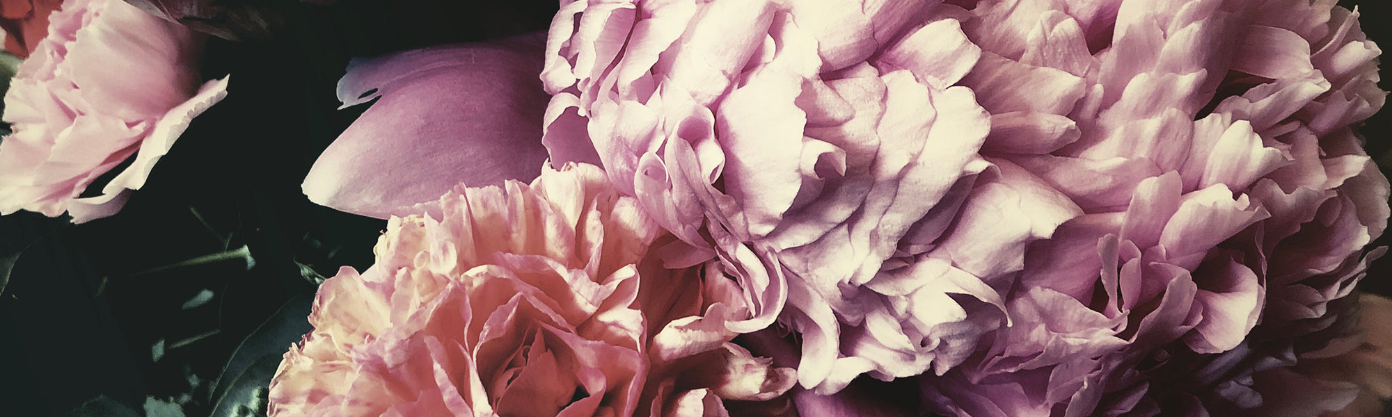 Adam The Flower Man | Melbourne Florist | Melbourne Flower Delivery